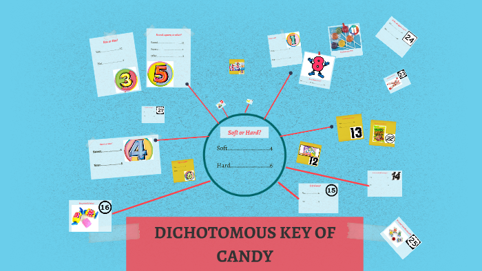 DICHOTOMOUS KEY OF CANDY by Jersey Hoover on Prezi