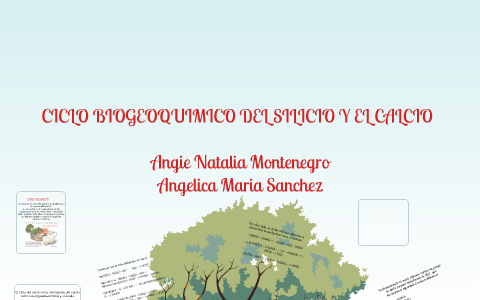 ciclo biogeoquimico del silicio y el calcio by natalia montenegro on Prezi