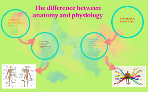 the differences between anatomy and physiology by cierra calhoun on Prezi