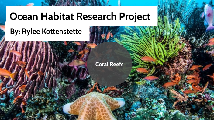 Ocean Habitat Science Project by rylee kottenstette on Prezi