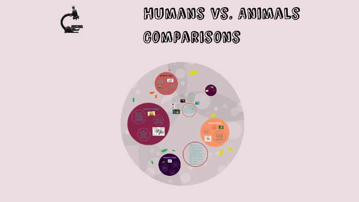 Humans vs. Animals Comparisons by Grace Quast on Prezi