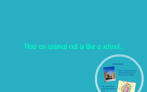 How an animal cell is like a school.. by Ali Szczechowicz on Prezi