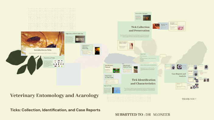 Veterinary Entomology and Acarology by Faiq Ahmad on Prezi