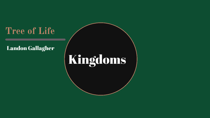 Landon's Tree of Life by Landon Gallagher on Prezi