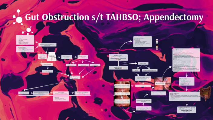 Gut Obstruction st TAHBSO; Appendectomy by Meg Timbol on Prezi
