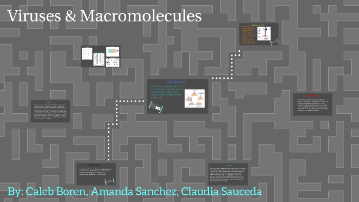 Viruses & Macromolecules by claudia sauceda on Prezi