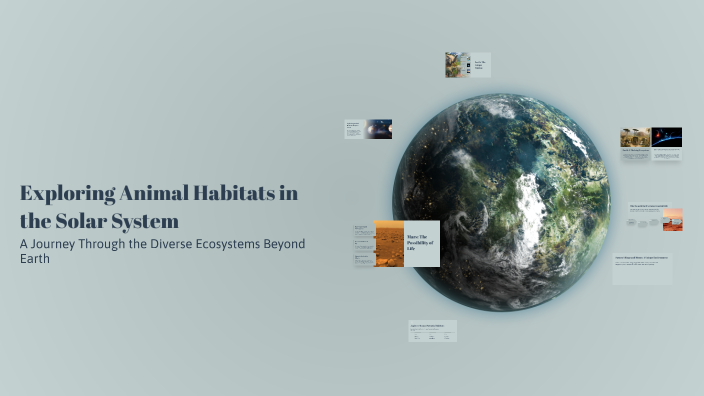 Exploring Animal Habitats in the Solar System by Musa umar Umar on Prezi
