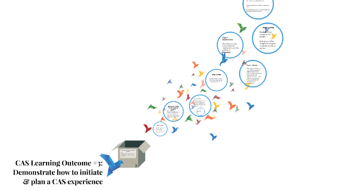 CAS Learning Outcome #3: Demonstrate how to initiate & plan by Michaela ...