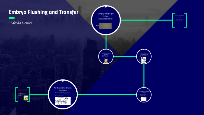 Embryo Flushing and Transfer by Shakoda Hertter on Prezi