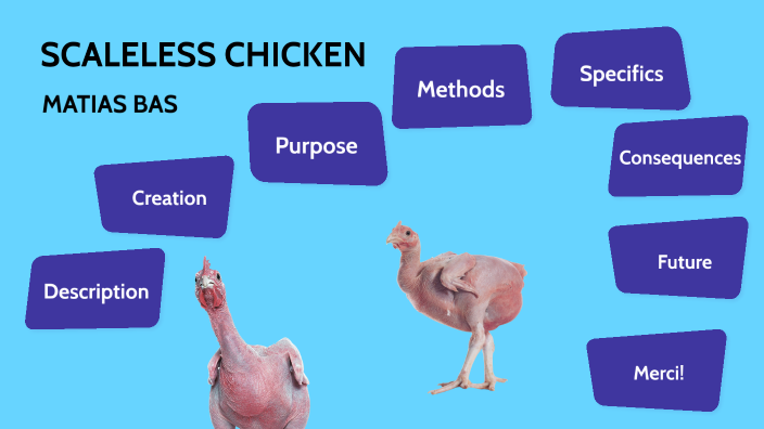Scaleless Chicken by Matias Bas on Prezi