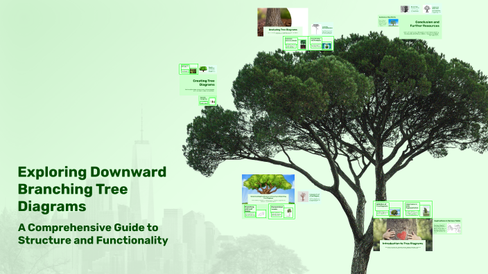 Exploring Downward Branching Tree Diagrams by Isaac Brannon on Prezi