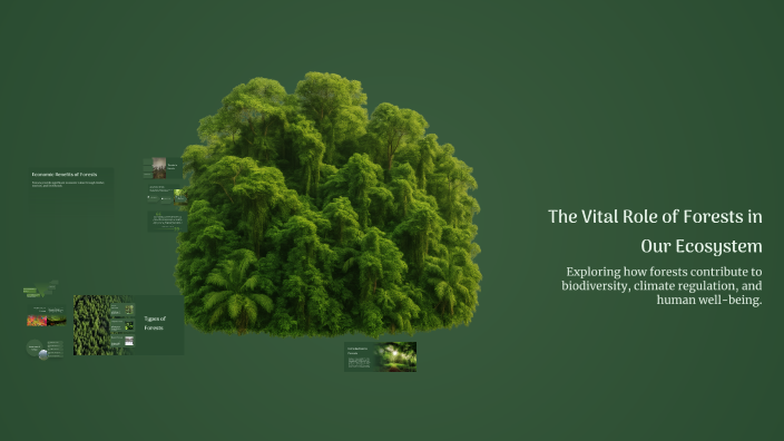 The Vital Role of Forests in Our Ecosystem by TANISH 22SV0177 on Prezi
