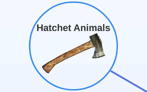 Hatchet Animals by Soren Olsen on Prezi