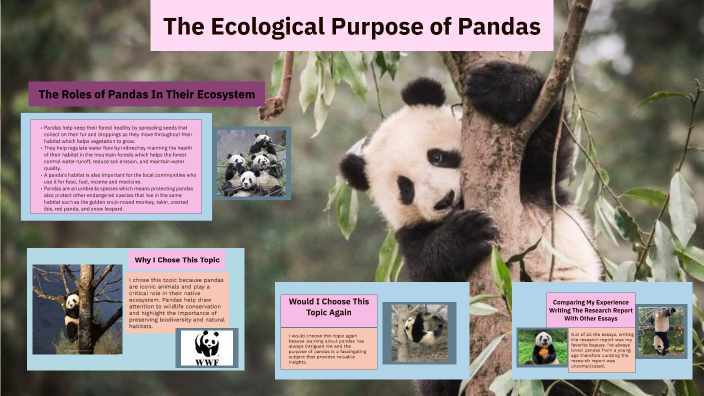 The Ecological Purpose of Pandas by mona liang on Prezi