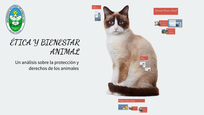 ETICA Y BIENESTAR ANIMAL by Eliza Orellana on Prezi
