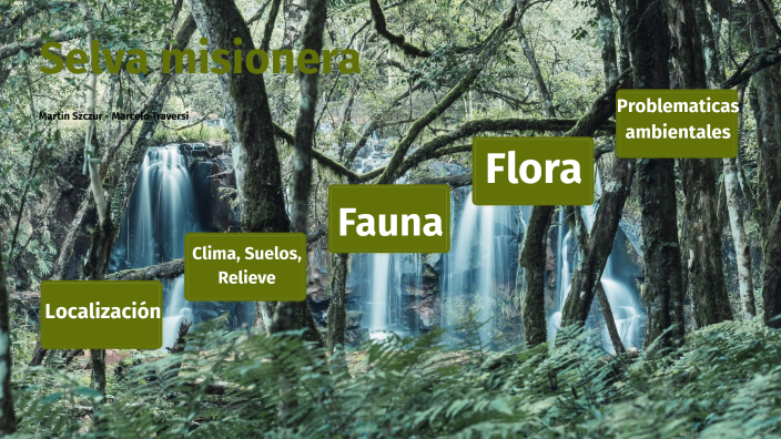 Selva Misionera by Marcelo Traversi on Prezi