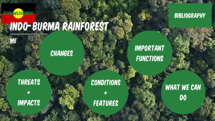 Indo-Burma Rainforest by Dovi Sufrin on Prezi