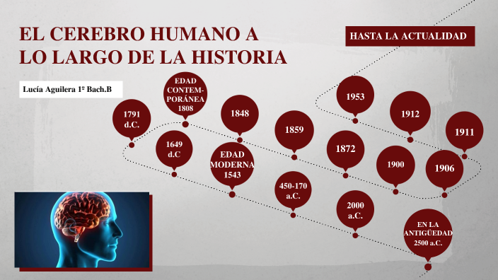 EL CEREBRO HUMANO A LO LARGO DE LA HISTORIA by LUCÍA AGUILERA SANZ on Prezi