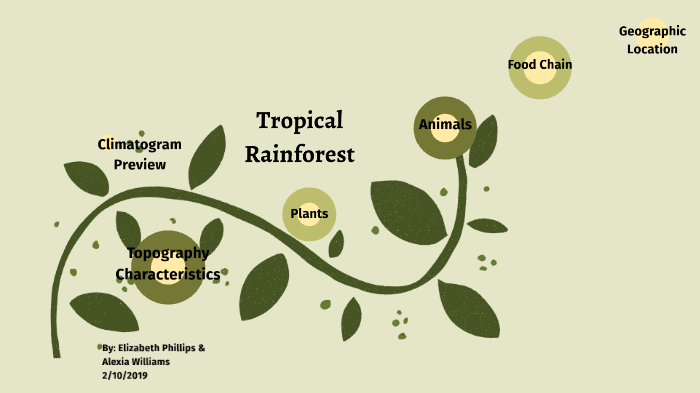 Tropical Rainforest by Elizabeth Phillips on Prezi