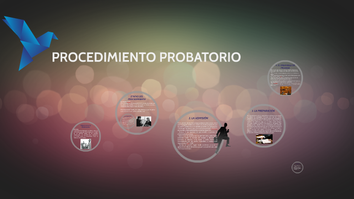 PROCEDIMIENTO PROBATORIO by on Prezi