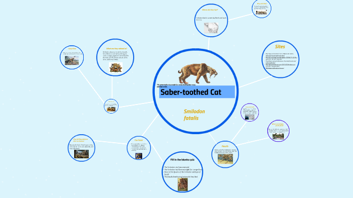 Saber-toothed cat by Ally Cat