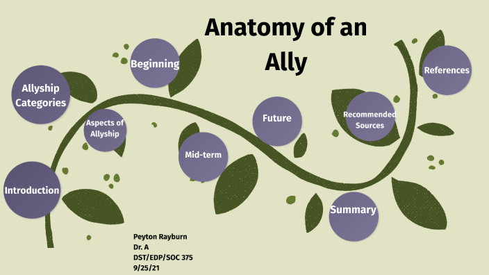 Anatomy of an Ally by Peyton Rayburn on Prezi