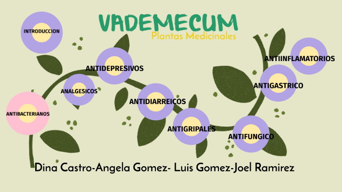 VADEMECUM PLANTAS MEDICINALES by Luis GomeZz on Prezi