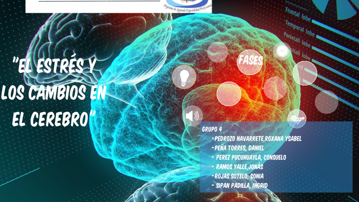 NIVELES DE ESTRES AFECTAN AL CEREBRO by Consuelo PEREZ PUCUHUAYLA on Prezi