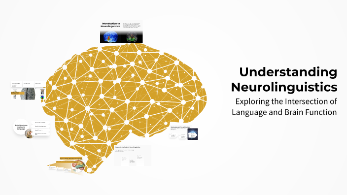 Understanding Neurolinguistics by hasnaoui aridj on Prezi