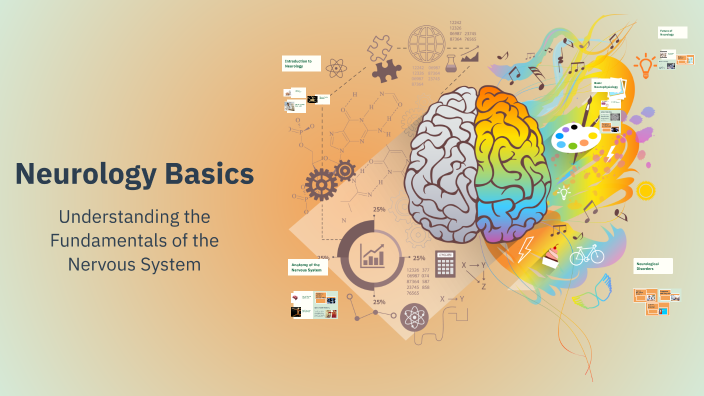 Neurology Basics by Hailie O'Connell on Prezi