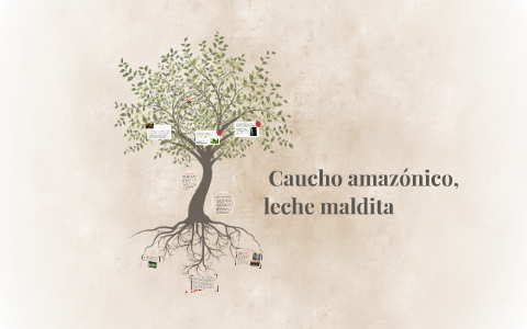 El Boom del caucho amazónico by margarita castaño on Prezi