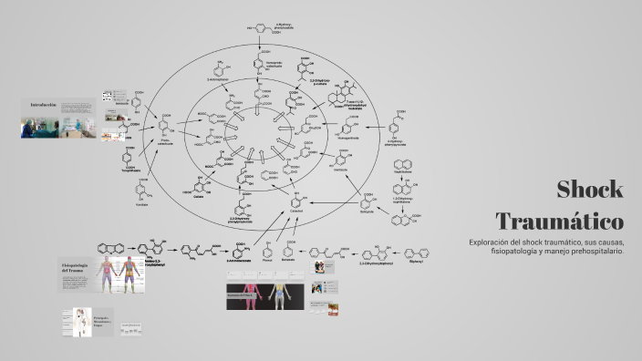 Shock Traumático by Andrea Reyes Zambrano on Prezi