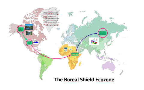 Boreal Shield Ecozone by Kristen Miguel on Prezi