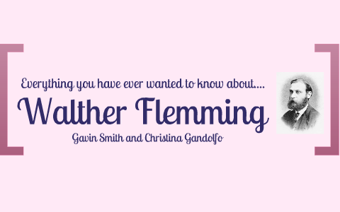 Walther Flemming by Gavin Smith on Prezi
