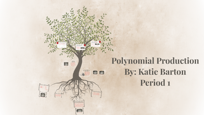Polynomial Production by Katie Barton on Prezi