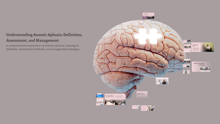 Understanding Anomic Aphasia: Definition, Assessment, and Management by ...