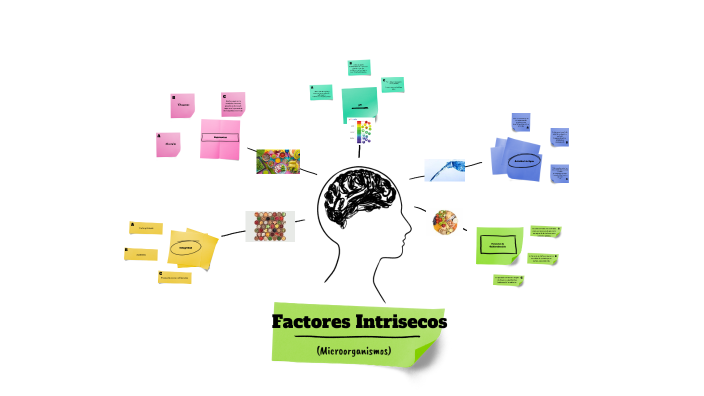 Factores Intrinsecos en los Alimentos. Microorganismos by NORMA SILVIA ...