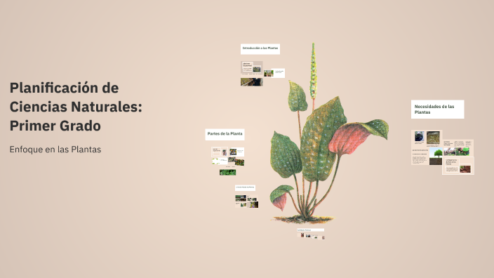 Planificación de Ciencias Naturales: Primer Grado by Yicsy serrano on Prezi