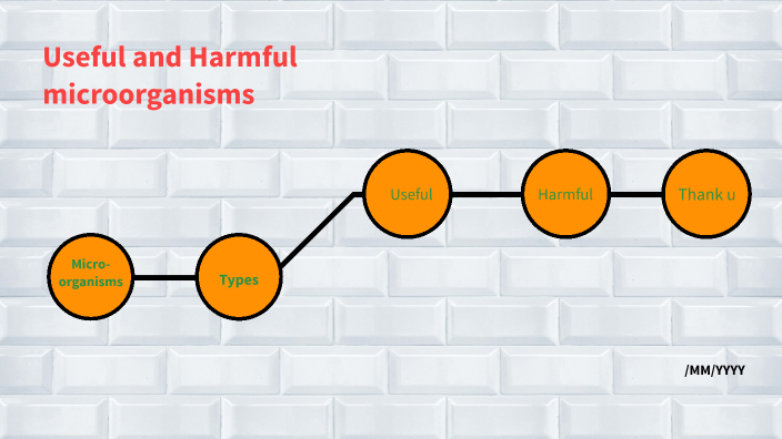 useful and harmful microorganisms by VARADA MACHINGAPALLATH GIRISH on Prezi