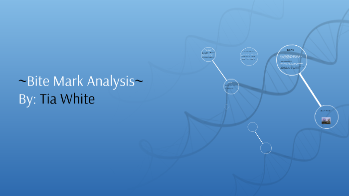 Bite Mark Analysis by Siri Huey on Prezi
