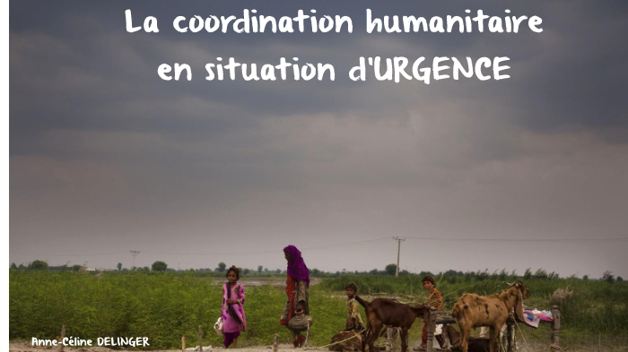 La coordination humanitaire en situation d'urgence by ANNE BASILE on Prezi