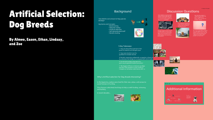 Artificial Selection: Dogs by Ethan Breyer on Prezi