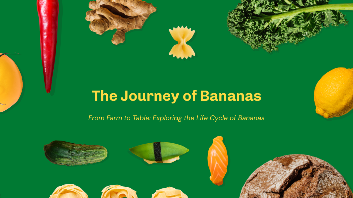 The Journey of Bananas by Noah T9377 on Prezi