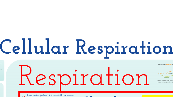 IB Topic 8.2 Cellular Respiration by Erin Lepischak on Prezi