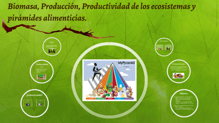 Biomasa, Producción, Productividad de los ecosistemas y pirámides ...