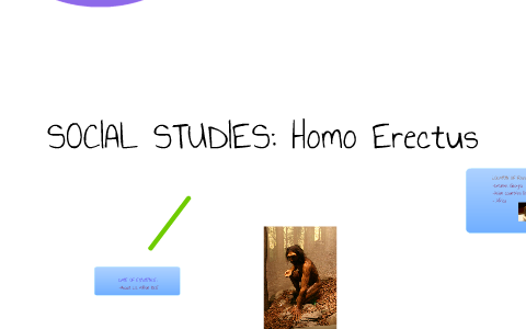 Social Studies: Homo Erectus ("Upright Man") by Virginia Zhen on Prezi