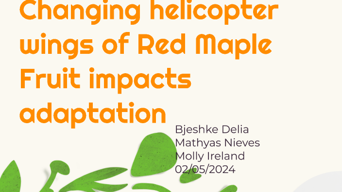 Red Maple Seed Dispersal Experiment by bjeshka delia on Prezi
