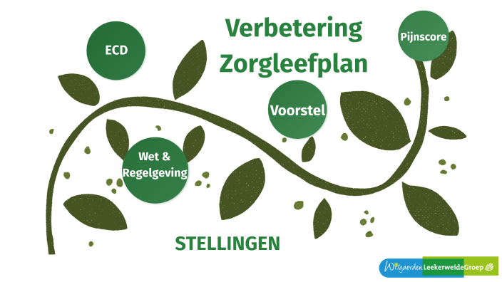 Verbeterplan by Evelien Roos on Prezi