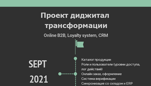 Digitalization Timeline by Anton Barabanshchikov on Prezi Design