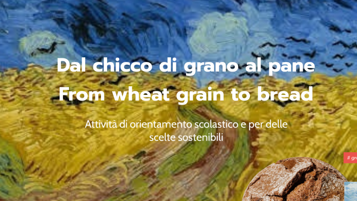 Dal chicco di grano al pane by Vincenzo D'Ugo on Prezi